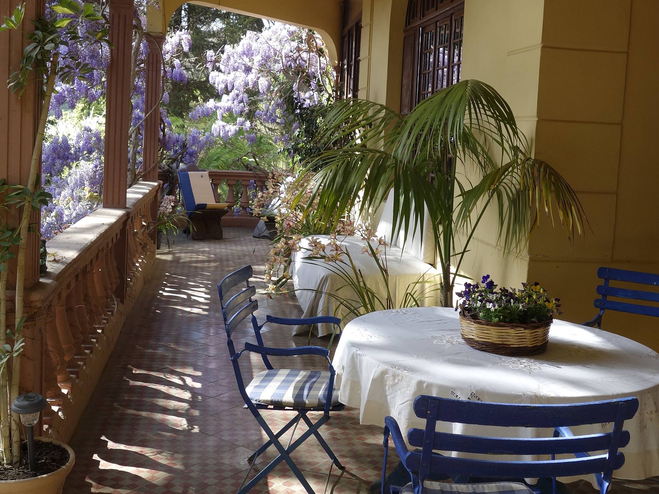 Alquiler de villas en Santa Brígida - Gran Canaria